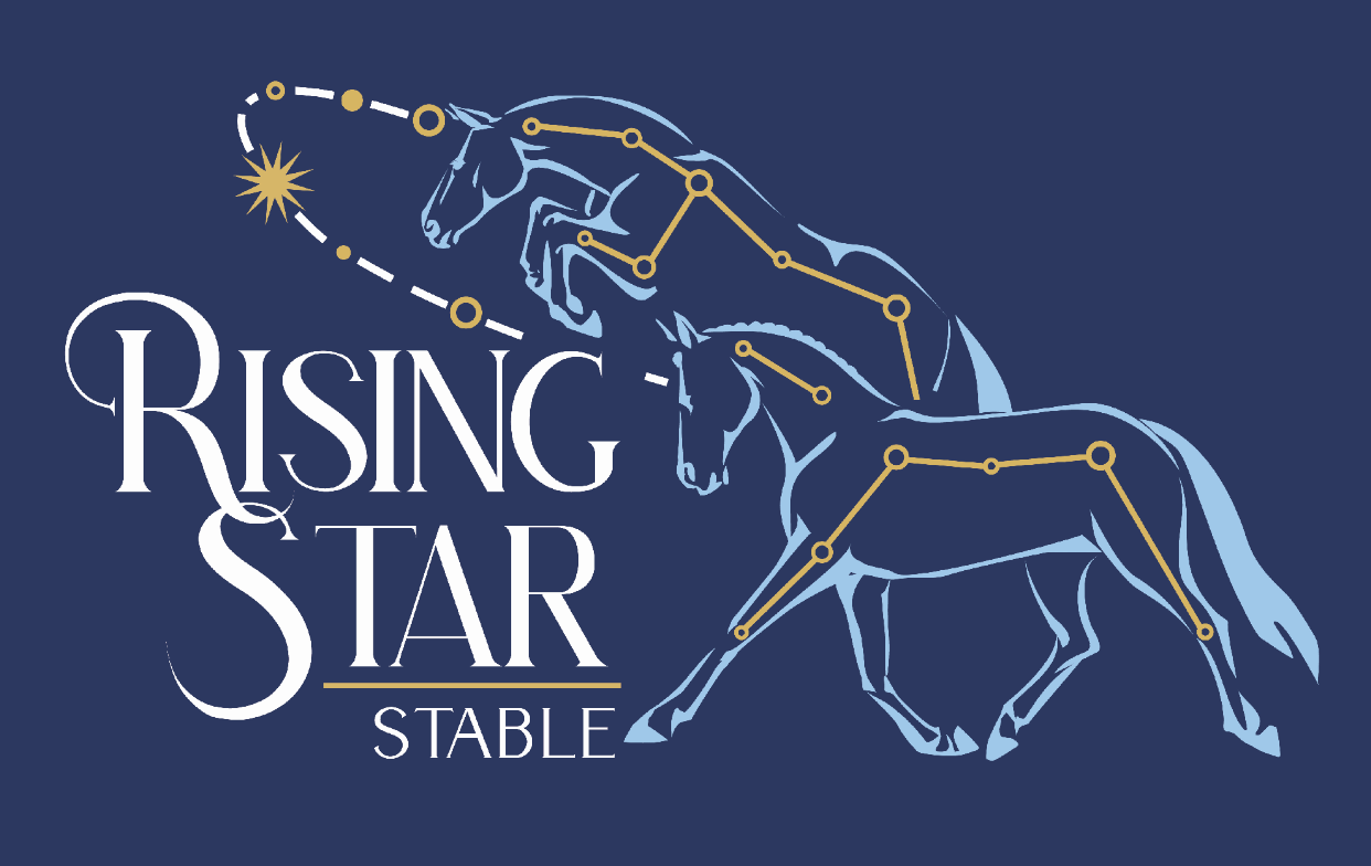 Rising Star Stable – It's A Haggerty's Teams