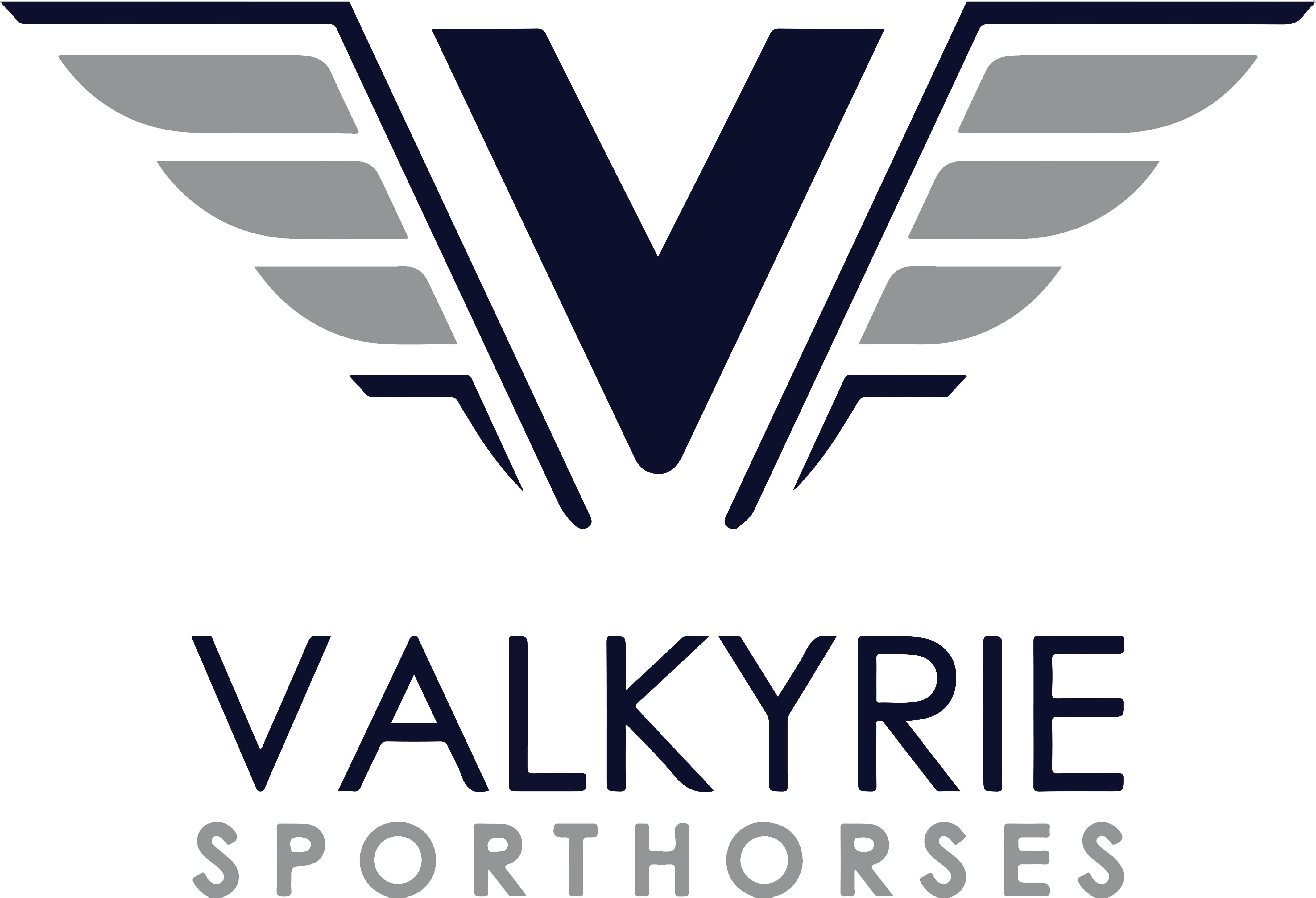 Valkyrie Sporthorses – It's A Haggerty's Teams