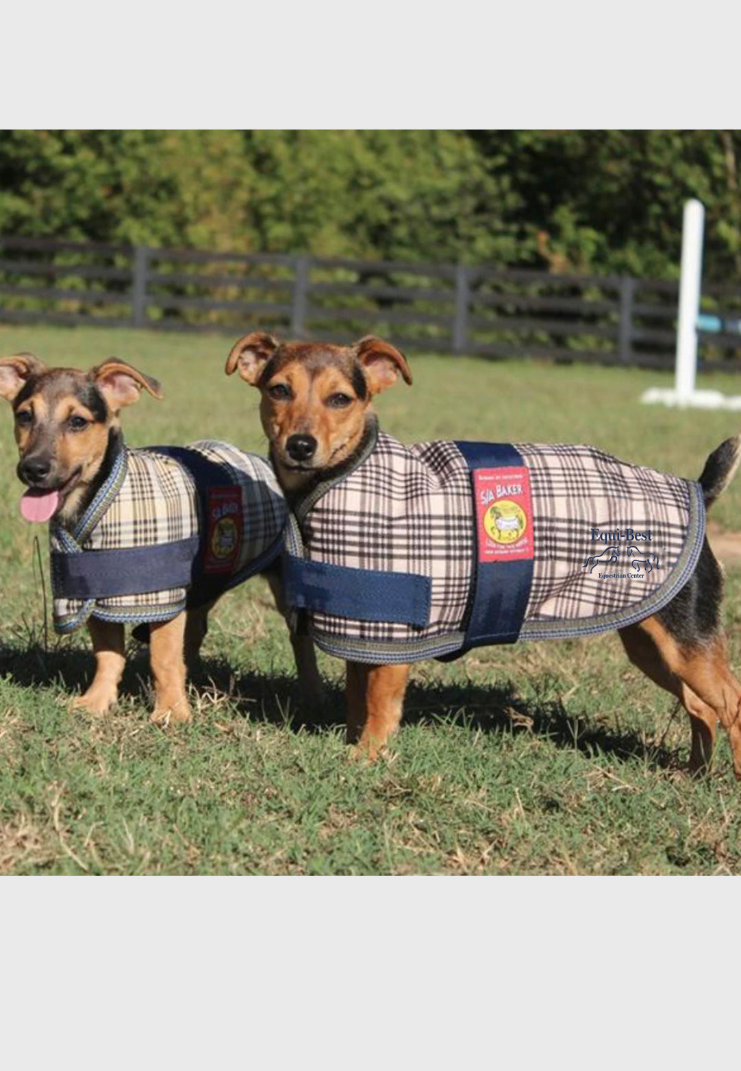 Equi-Best Baker® Dog Coat – It's A Haggerty's Teams